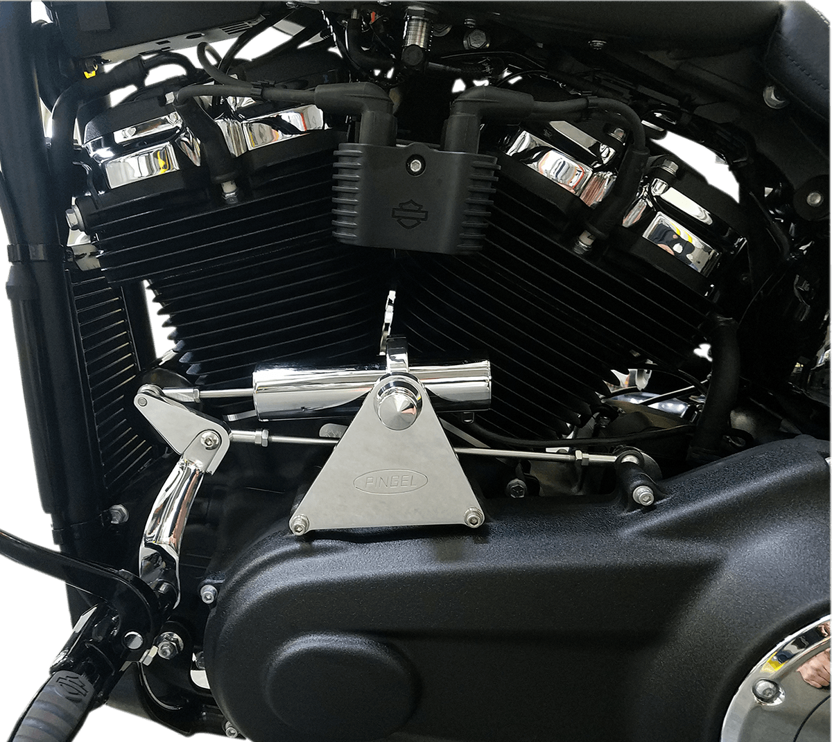 Pingel 77706 All Electric Easy Shift Kit | sxspowersports