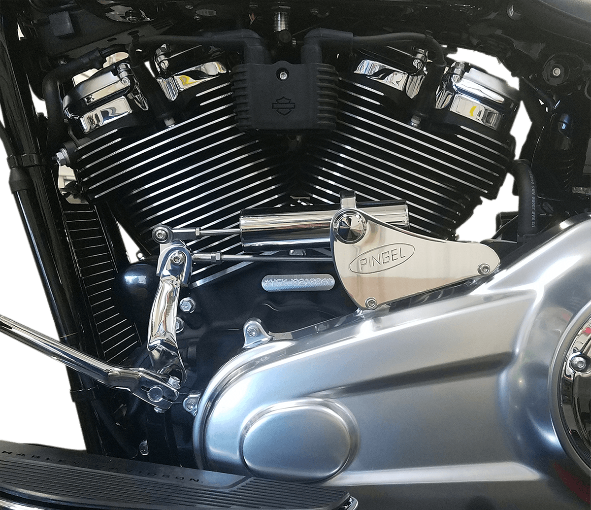 Pingel 77707 All Electric Easy Shift Kit | sxspowersports